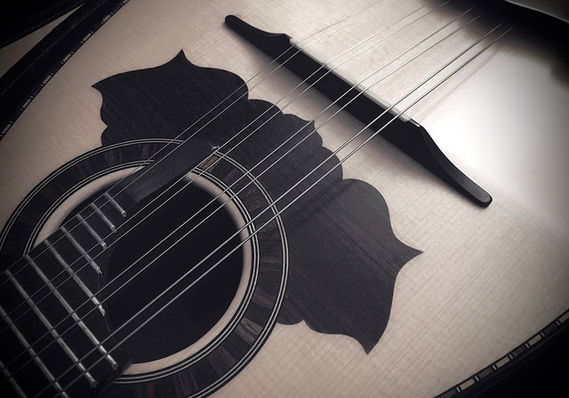 5 Best Mandolin Pickups - Pickups and Transducers for Amplification ...